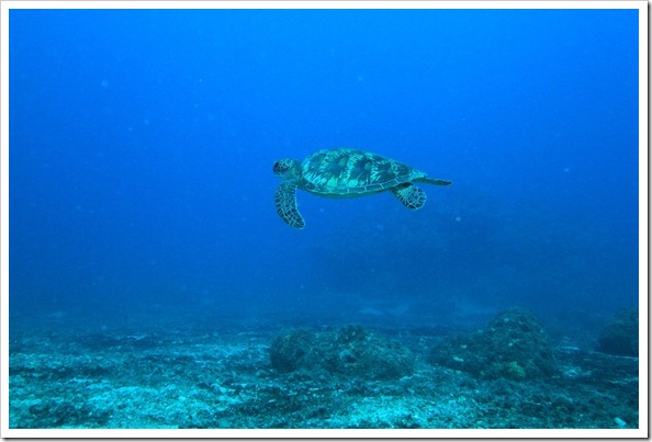 A weekend in Saipan | DC Rainmaker