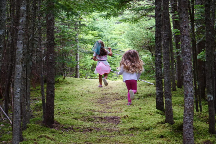 Garden Run | DC Rainmaker