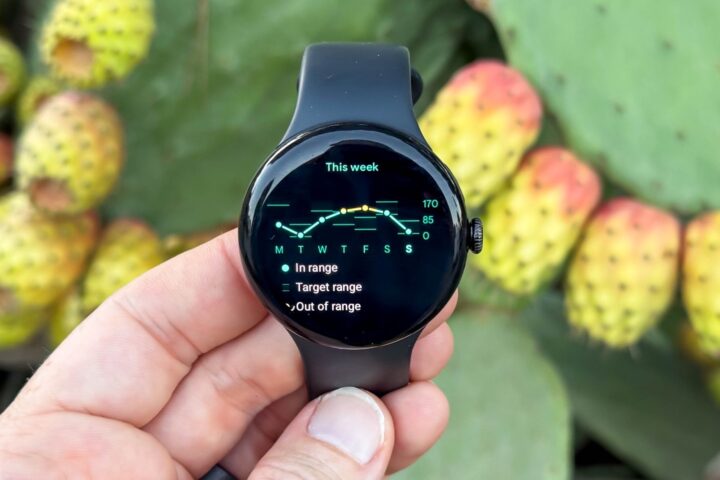 Google Pixel Watch 3 In-Depth Review: The Best WearOS Sports Watch ...