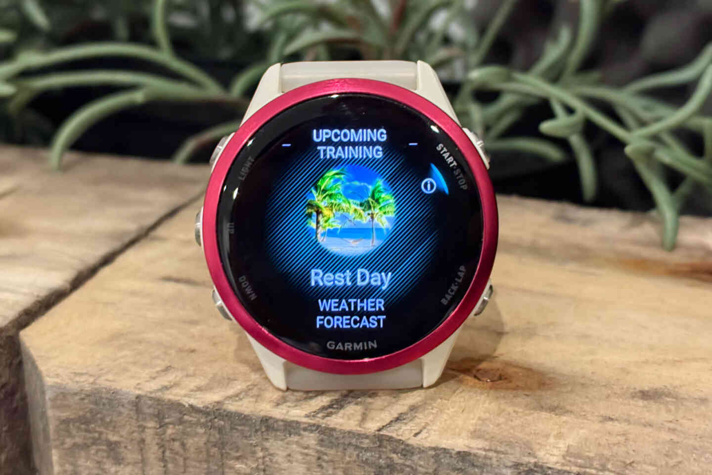 Garmin Forerunner 570 Hands-On: Everything You Need to Know! | DC Rainmaker